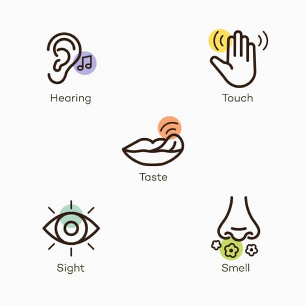 How Hearing Loss Impacts Other Senses | Nelson Hearing Clinics | Blog